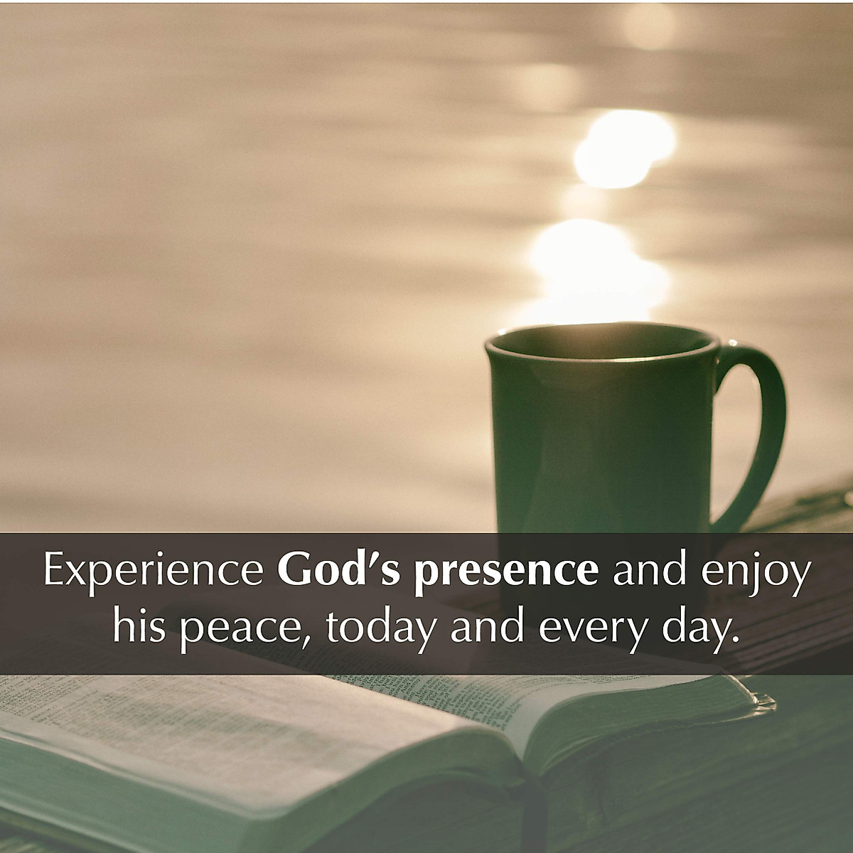 Jesus in Red: 365 Meditations on the Words of Jesus (Imitation Leather) – Daily Motivational Devotions for All Ages, Authored by Ray Comfort, Perfect ... Family, Birthdays, Holidays, and More.