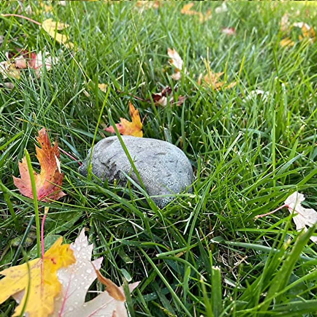 PANGAEA Key Hider Fake Rock, Weatherproof and Safe for Spare Keys, Real Look and Feel Stone, Garden, Outdoor, Geocaching (Type-B Black, 1 Pack)