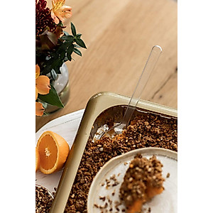 Fancy Panz 9x13- Inch Foil Cake Pan Dress Up & Protect Your Foil Pan Made in USA, Foil Pan & Serving Spoon Included. Hot or Cold Food. Stackable for easy travel. (Gold Swirl Cake Pan), FPC07G