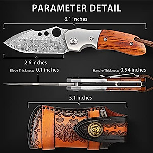 NedFoss Damascus Pocket Knife for men, Handmade Forged VG10 Damascus Steel Blade Pocket Knife with Wooden Handle, Pocket Clip, Liner Lock, Excellent Gifts for Men