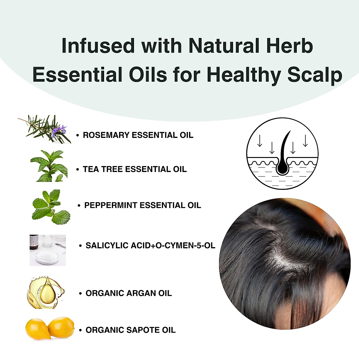 Moist Diane Perfect Beauty Extra Fresh & Hydrate Natural Hair Shampoo with Pump for Men & Women, Organic Keratin Hydrating & Moisturizing Japanese Haircare Products for Dry, Damaged Hair 15.2 fl oz