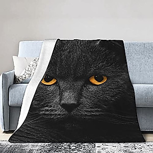 Black Cat Throw Blanket 60x50 Inch Flannel Fleece Fuzzy Soft Plush Blanket for All Season Lightweight Couch Bed Sofa Living Room Office