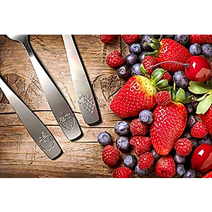 12 Piece Stainless Steel Kids Silverware Set - Child and Toddler Safe Flatware - Kids Utensil Set - Metal Kids Cutlery Set Includes 4 Small Kids Spoons, 4 Forks & 4 Knives