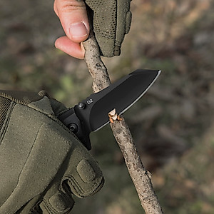 FLISSA Small Pocket Knife, 2-3/4" D2 Steel Blade, EDC Folding Knives, Ebony Wood Handle with Clip, Mini Knife with Liner Lock for Everyday Carry Camping Survival Hiking