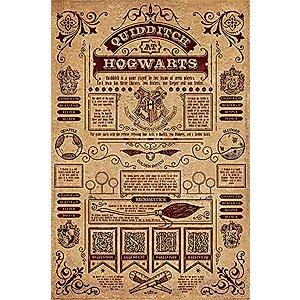 Harry Potter - Movie Poster/Print (Quidditch at Hogwarts) (Size: 24 inches x 36 inches)