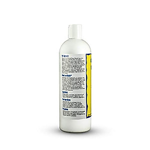 Earthbath Hypoallergenic Dog Shampoo – Pet Shampoo for Sensitive Skin & Allergies, Made in USA – Fragrance Free, 16 oz (Pack of 1)