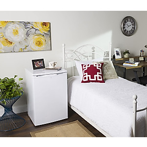 Rust-Oleum 241168 Specialty Appliance Epoxy Paint, Quart, Gloss White 32 Fl Oz (Pack of 1)