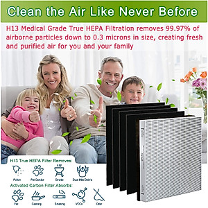Flintar H13 True HEPA Replacement Filter Combo Pack, Compatible with Vornado Air Purifier, (1) H13 True HEPA Filter MD1-0022 + (4) Activated Carbon Pre-Filter MD1-0023, 1-Year Filter Set