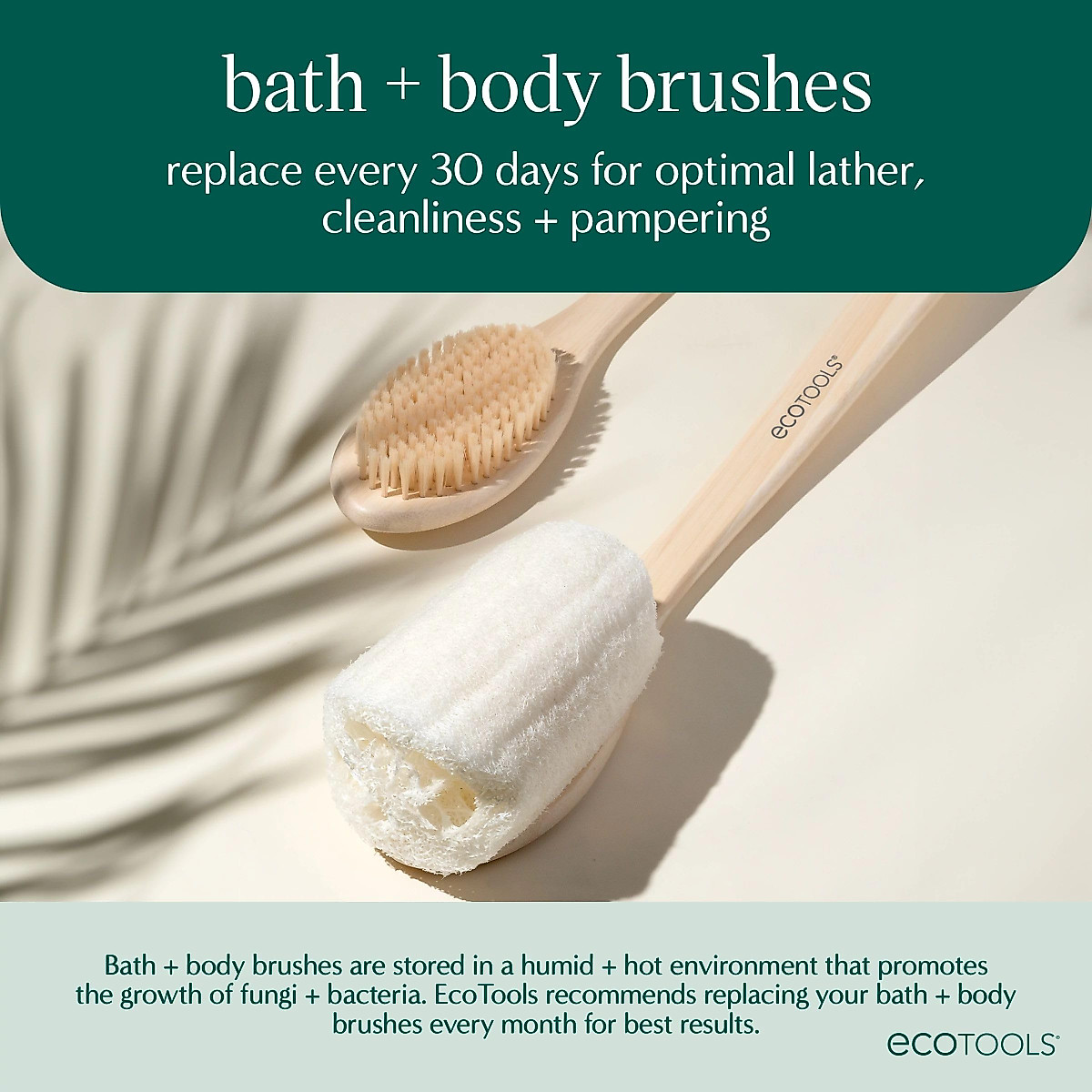 EcoTools Bristle Bath Brush, Soft but Stiff Shower Bristles, Long Bamboo Handle, Gently Exfoliating for Back & Body, Stimulates Blood Circulation, Eco-Friendly, 1 Count