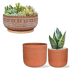 Thirtypot Terracotta Succulent Planter Pot with Drainage Hole, Large Round Shallow Bonsai Pot for Indoor Plants