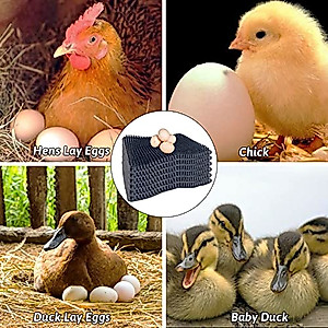 Hamiledyi Chicken Nesting Box Pads, 6PCS Hen Nest Mats Washable, Chicken Nesting Box Plastic Liners, Reusable Egg Laying Mats for Chicken Coop Poultry Nest Boxes Ducks