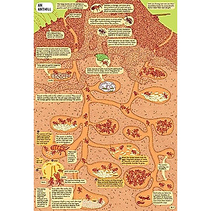 Under Water, Under Earth