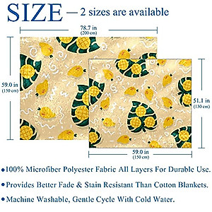 Fleece Throw Blanket,Super Soft Luxurious Bedding Blanket Tropical Fruits Mango