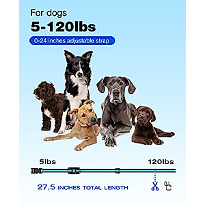 Bousnic Dog Shock Collar - 3300Ft Dog Training Collar with Remote for 5-120lbs Small Medium Large Dogs Rechargeable Waterproof e Collar with Beep (1-8), Vibration(1-16), Safe Shock(1-99) Modes (Blue)