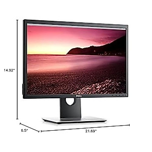 DELL P2217 22-inch PROFESSIONAL WIDE SCREEN 1680X1050 LED LCD DISPLAY MONITOR 0FDPN (Renewed)
