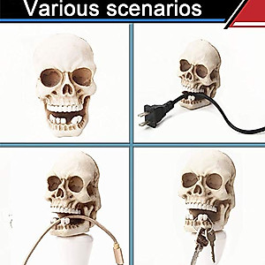 PANEY Skull Sculpture Key Storage Hook, Skeleton Key Holder Wall Mounted Hooks, Key Stand for Home Wall Decoration Funny Gift