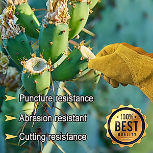 AOUCHI Leather Work Gardening Thorn Proof Glove with Cotton Lining for Wood Cutting/Construction/Truck Driving/Garden/Yard Working for Men and Women 1 Pair (L)