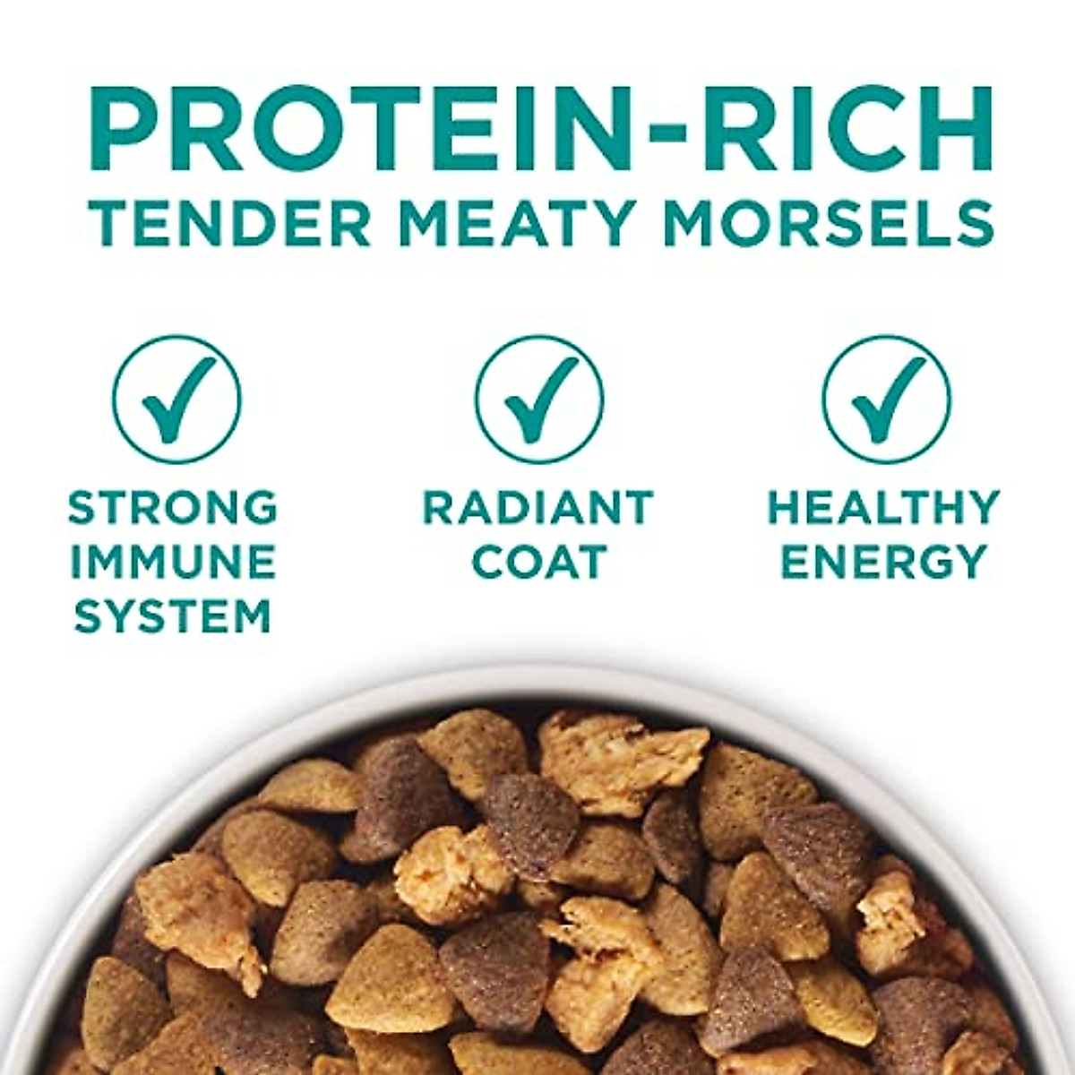 Purina ONE Dog Digestive Support, Natural Dry Dog Food, +Plus Digestive Health Formula - 31.1 lb. Bag