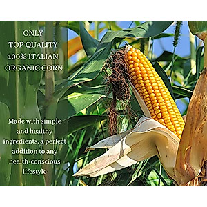 Le Asolane Certified Organic Gluten Free Ditalini Pasta | Authentic Imported Italian Gourmet Pasta from Select Premium Grade Corn Flour | 8.8 oz packages (Pack of 1)