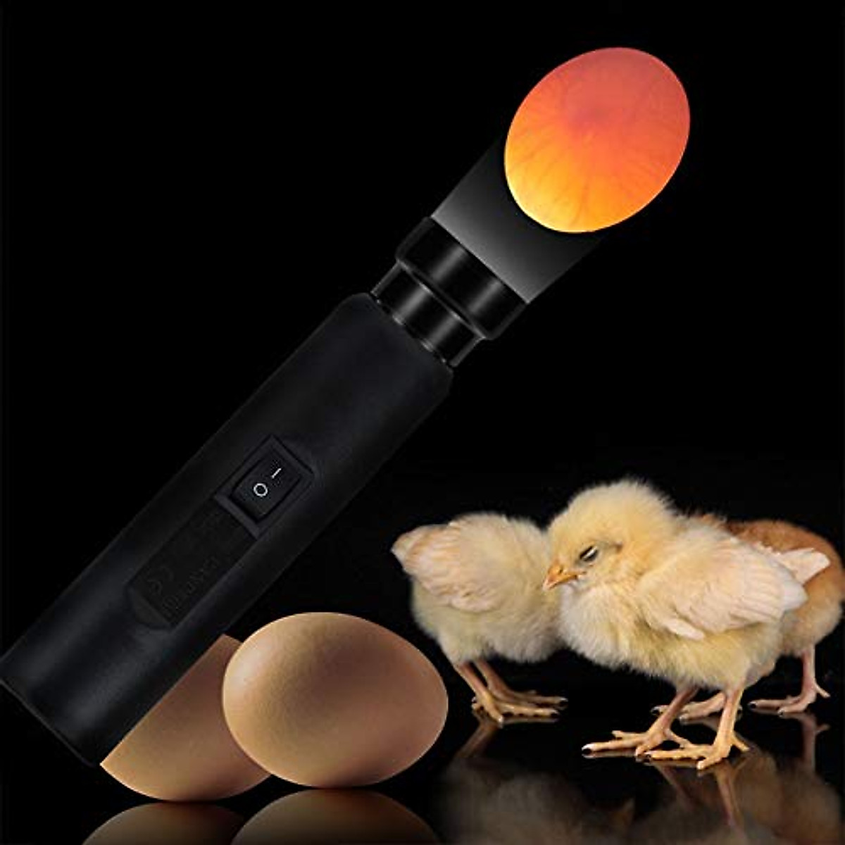 zjchao LED Egg Candler Light, High Intensity Bright Cool Light Monitoring Eggs Development Flashlight for Chickens Ducks Birds Eggs