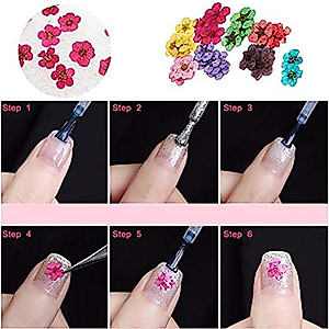 Valuu 3D Nail Dried Flowers Sticker，60 Five Petal Flower 12 Colors Natural Real Dry Flower Nail Stickers （60 Flowers）