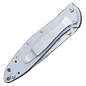 Shaw Leek Pocket Knife 3" - Speed and Safe Assisted Opening 14C28N Stainless Steel - 1660 Spring Assisted