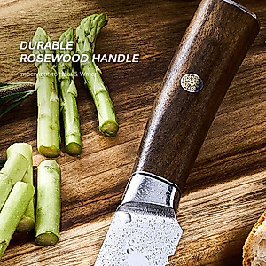 KYOKU 10 Inch Bread Knife - Daimyo Series - Serrated Knife with Ergonomic Rosewood Handle, and Mosaic Pin - Japanese 440C Stainless Steel Bread Cutter with Sheath and Case