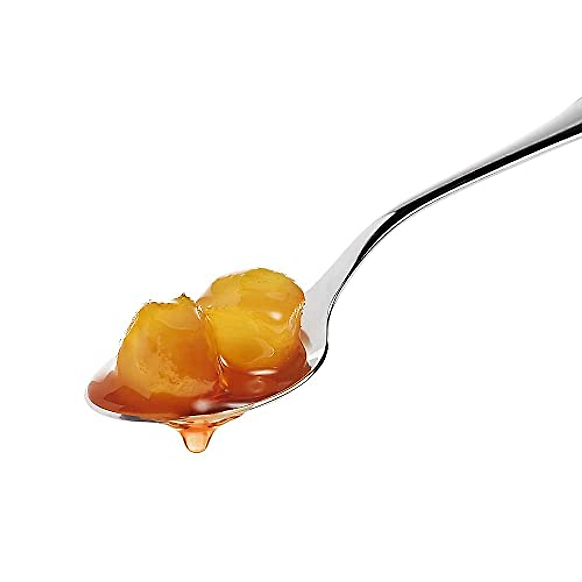 Fabbri Ginger with Syrup, 8 oz