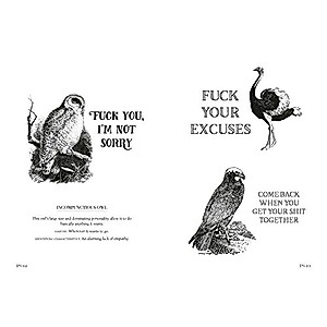 Effin' Birds: A Field Guide to Identification