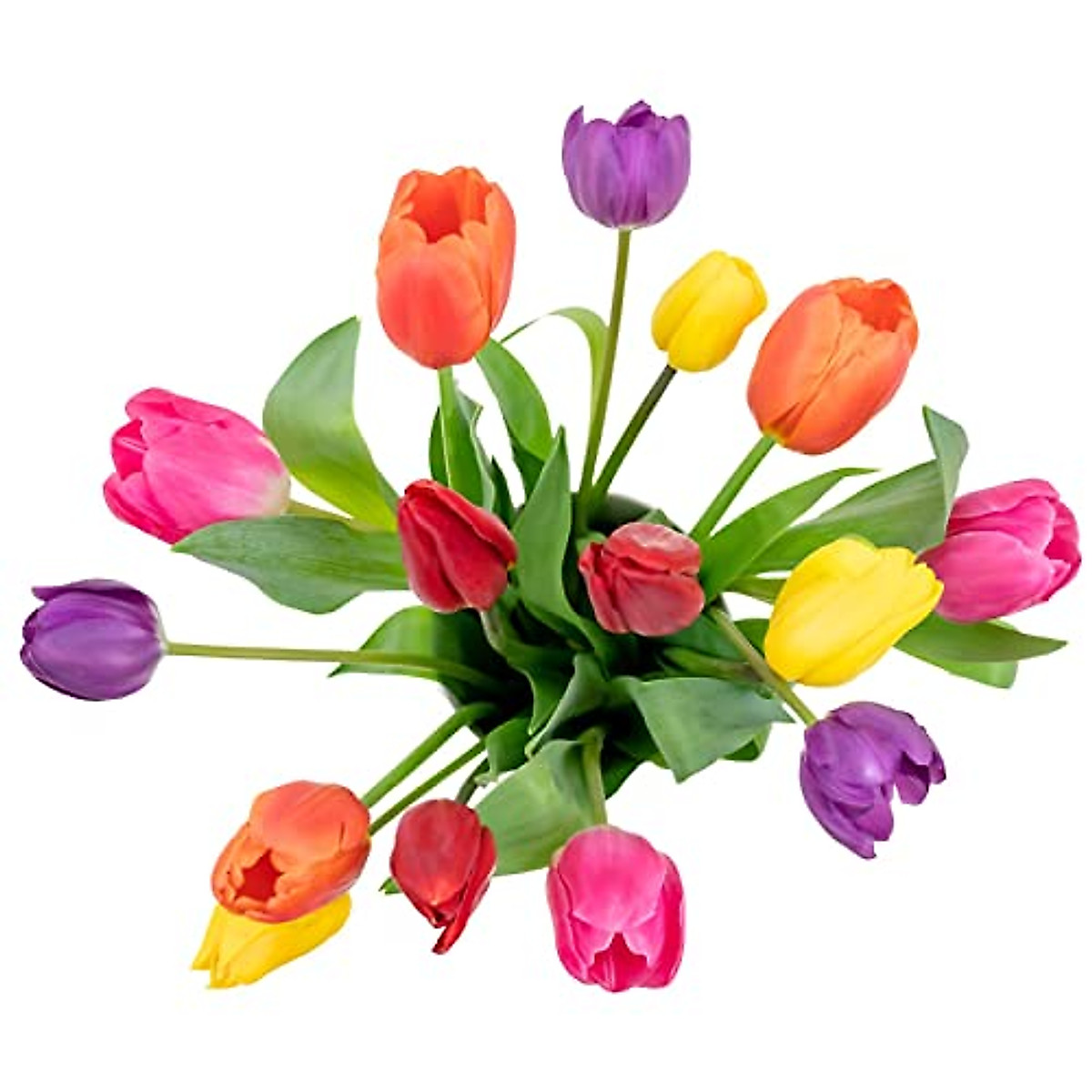 Stargazer Barn - Prime Overnight Delivery - The Happy Bouquet- Farm Fresh Colorful Tulips - Ship directly from our farm to your door, Red, Pink, Yellow, Purple, Orange