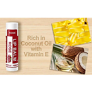 Yopela 28 Pack Natural Lip Balm Bulk with Vitamin E and Coconut Oil - Moisturizing, Soothing, and Repairing Dry and Chapped Lips - 14 Flavors - Non-GMO