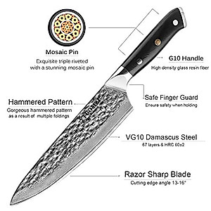 Damascus Kitchen Knife, 8 Inch Japanese Chefs Knife VG 10 Damascus Steel Knife High Carbon 67-Layer Chopping Knife, Meat Sushi Fruit Vegetable Cutting Gyuto Knife with Ergonomic G10 Handle