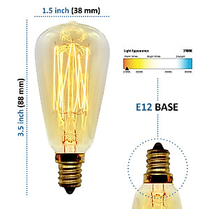 Bunnit Bulbs Vintage Retro Edison Bulb, ST38, 40w, E12 Base (Small), 2-Pack