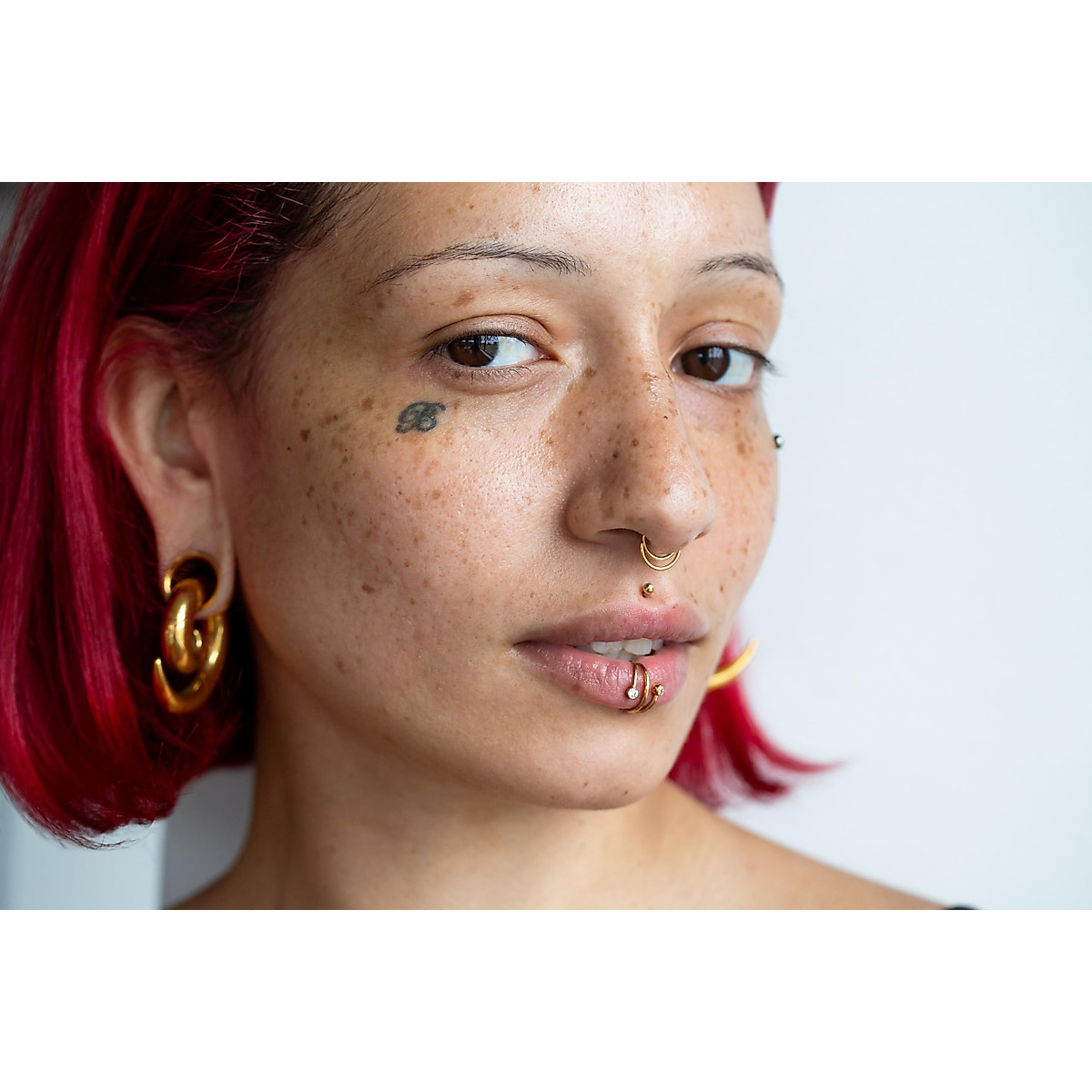 Pierced Owl 18GA Stainless Steel Double Hoop Hinged Segment Ring (Gold Tone)