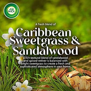 Botanica by Air Wick Plug in Scented Oil Refill, 10ct, Caribbean Sweetgrass and Sandalwood, Air Freshener, Eco Friendly, Essential Oils