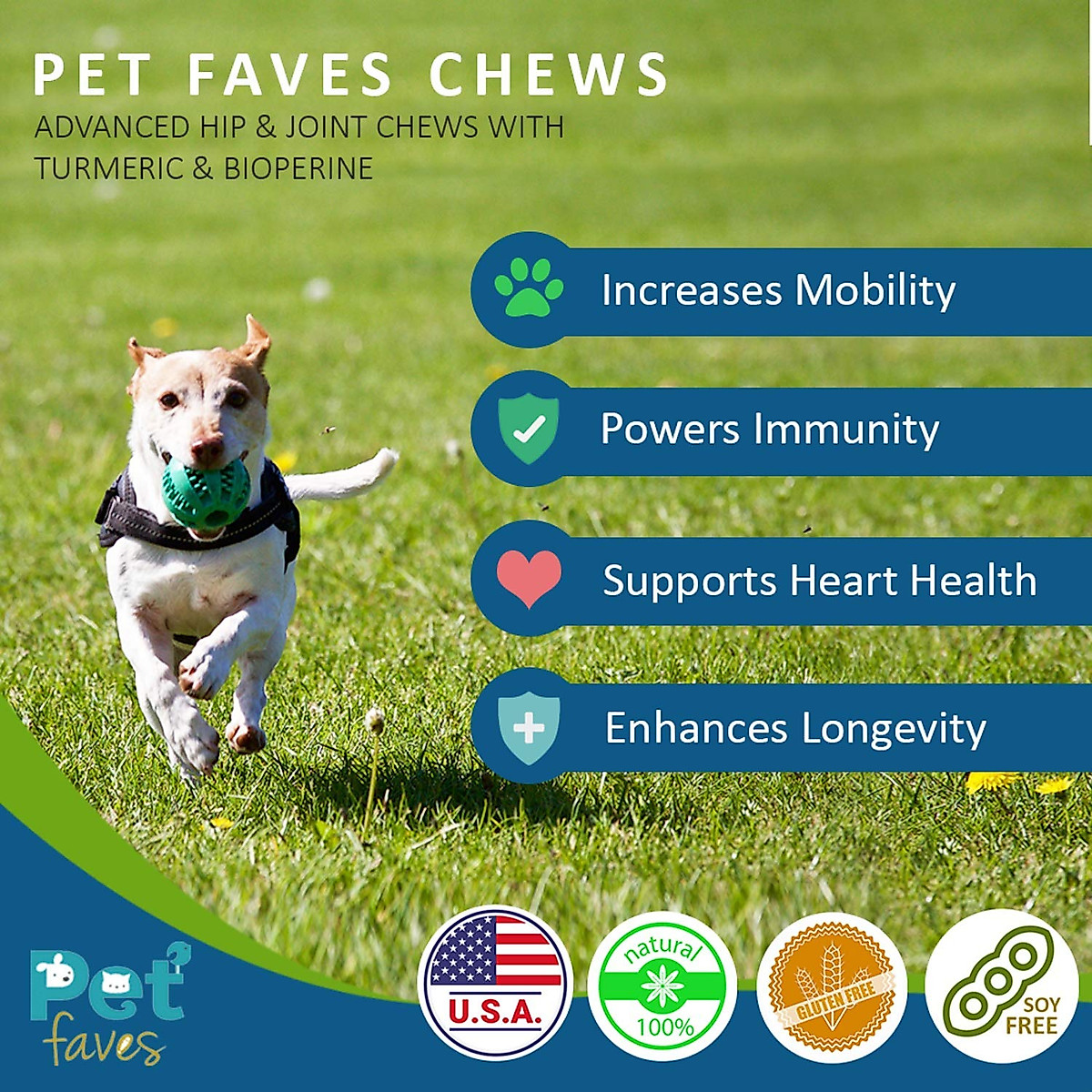 Natural Dog Hip & Joint Supplement for Dogs Arthritis Pain Relief. Turmeric Curcumin with Black Pepper for Anti Inflammatory. Tumeric MSM Glucosamine Chondroitin for Dogs Healthy Joints - 90 Chews