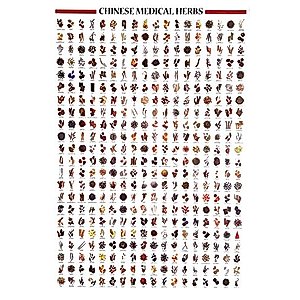 Chinese Acupuncture Herbal Poster Laminated 24 x 36 inches