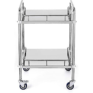 Lesolar Lab Rolling Cart 2 Layer Medical Utility Cart with 360° Rotate Wheels Mobile Clinic Cart Laboratory Equipment Rolling Cart 24''Lx16''Wx34''H (2 Layer)