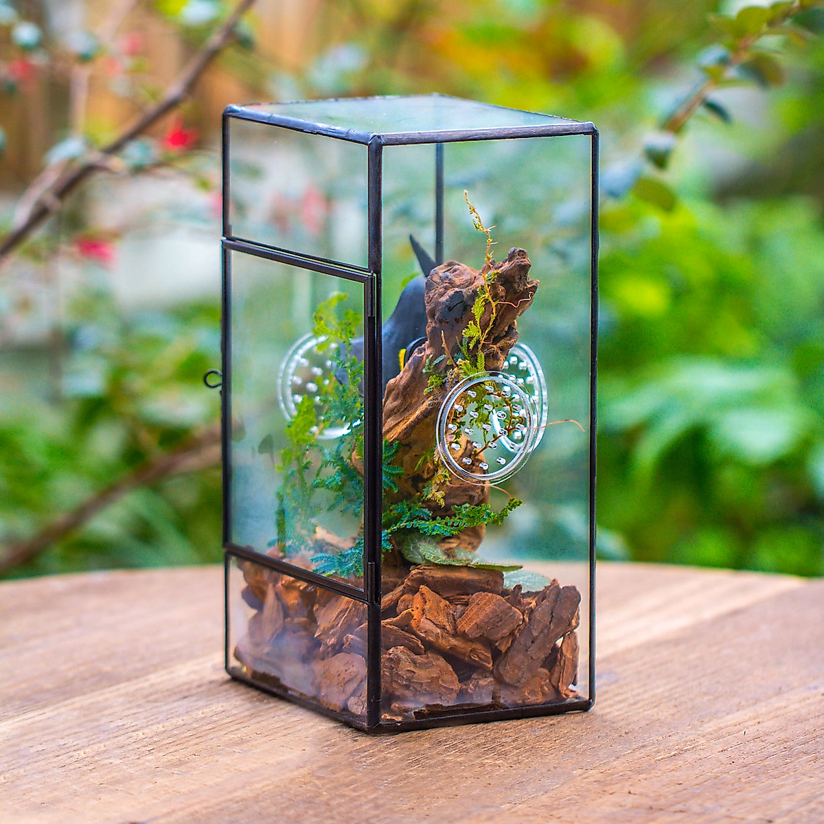 NCYP Small Glass Terrarium with 3 Vent Holes for Large Jumping Spider - 5.1" x 3.9" x 9" - Front Opening Door Insects Enclosure Habitat, Rectangle Black - Holes Diameter 0.12" (Terrarium Only)