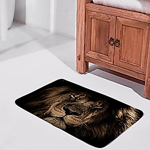Ferocious Lion Super Soft Coral Velvet Area Rug Modern Indoor Rugs,Bedroom Carpets,Home Decor Rugs16 x24