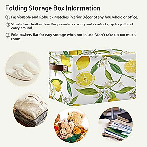 ALAZA Decorative Basket Rectangular Storage Bin, Lemon Floral Organizer Basket with Leather Handles for Home Office