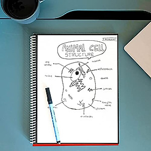 WIPEBOOK REUSABLE NOTEBOOK - Dry Erase Notebook Available in Blank, Ruled or Graph | Dry Erase Notepad Paper for Meeting, Business, Office, Home | Mini Dry Erase Board | Blank