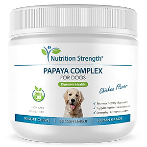 Nutrition Strength Papaya for Dogs Digestive Enzyme Complex to Support Normal Intestinal Function, Boost Immunity, with Organic Papaya Fruit + Papain, Protease & Amylase, 90 Soft Chews