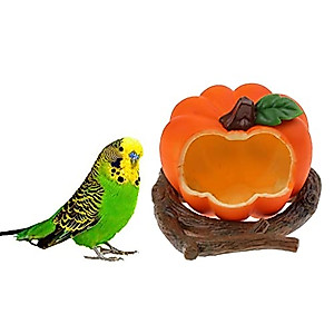 homozy 2 x Pumpkin and Pepper Shape Food & Water Bird Cup, Plastic Feeding Dish Feeder for Parrot Macaw African Greys Budgies Parakeet Cockatiels