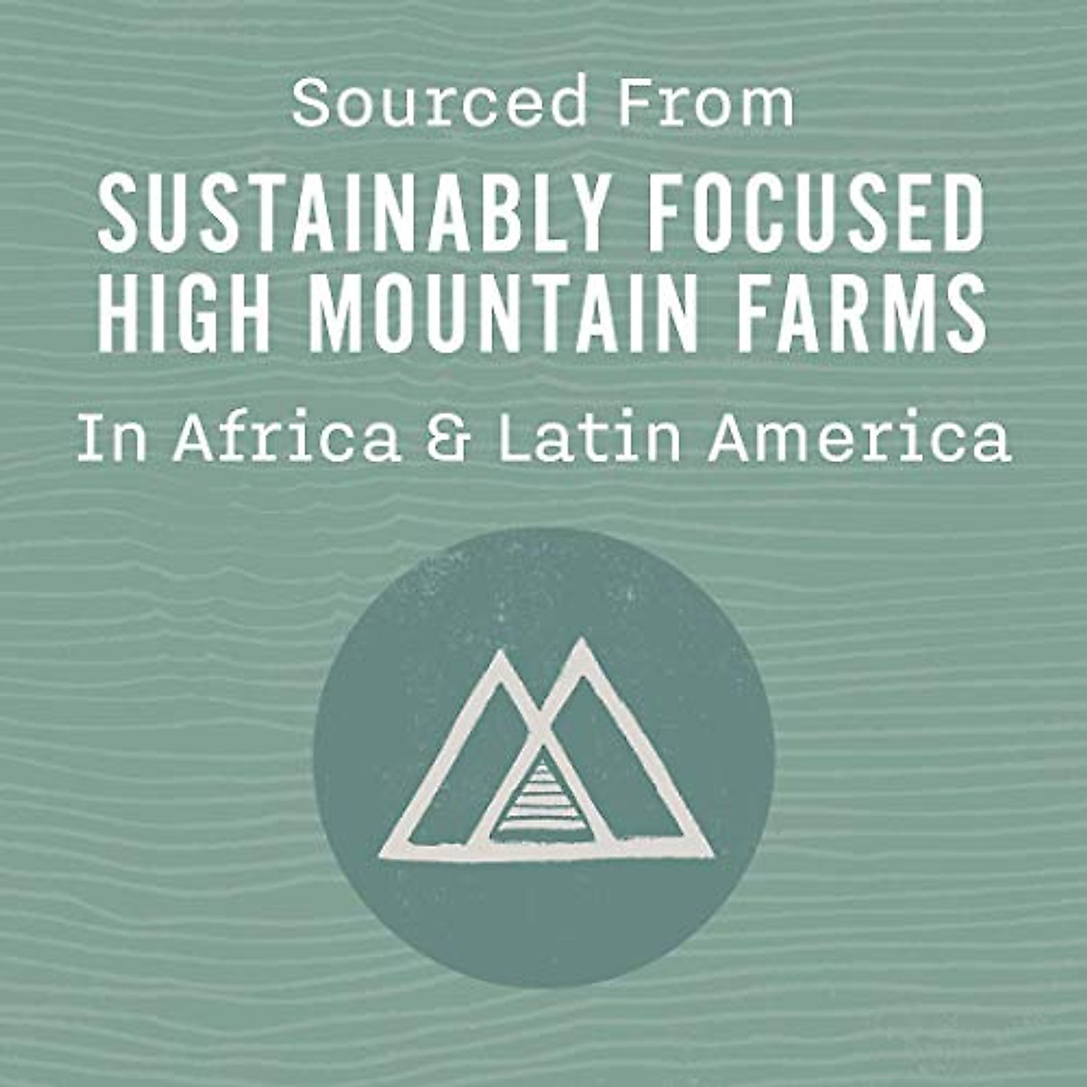 Allegro Coffee Organic Breakfast Blend Ground Coffee, 12 oz