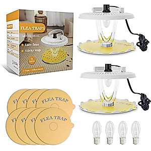 Redeo Flea Trap 2 Pack Sticky Dome Bed Bug Traps with 4 Light Bulbs and 8 Sticky Glue Boards, Odorless Non-Toxic Flea Light Traps for Inside Your Home Safe for Kids & Pets