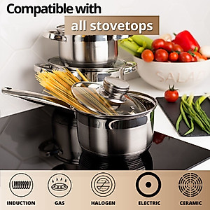 Daniks Standard Stainless Steel Kitchen Induction Pot Cookware Set | 6-Piece | Dishwasher Safe Pots | 2 Quart + 3 Quart + 4 Quart | Measuring Scale | Silver