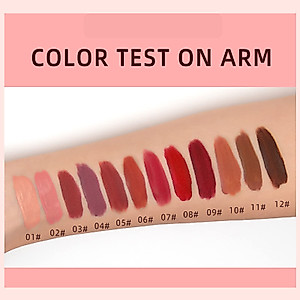 12Pcs Matte Liquid Lipstick Makeup Set, Long Lasting Waterproof Velvet Lip Gloss High Pigmented Lip Makeup Gift Sets for Girls and Women