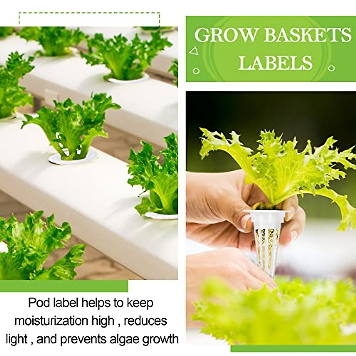 100 Pcs Hydroponic Growing Kit Include 50 Pcs Hydroponic Plant Replacement Basket Plant Growing Containers and 50 Pcs Seed Pot Label for Grow Sponges Basket Compatible with Hydroponic Growing System