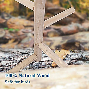 Mogoko Parakeet Perch Bird Natural Wood Stand,Parrot Cage Top Wooden Branches Standing Toys for Small Medium Parrots Conure Budgie Lovebirds